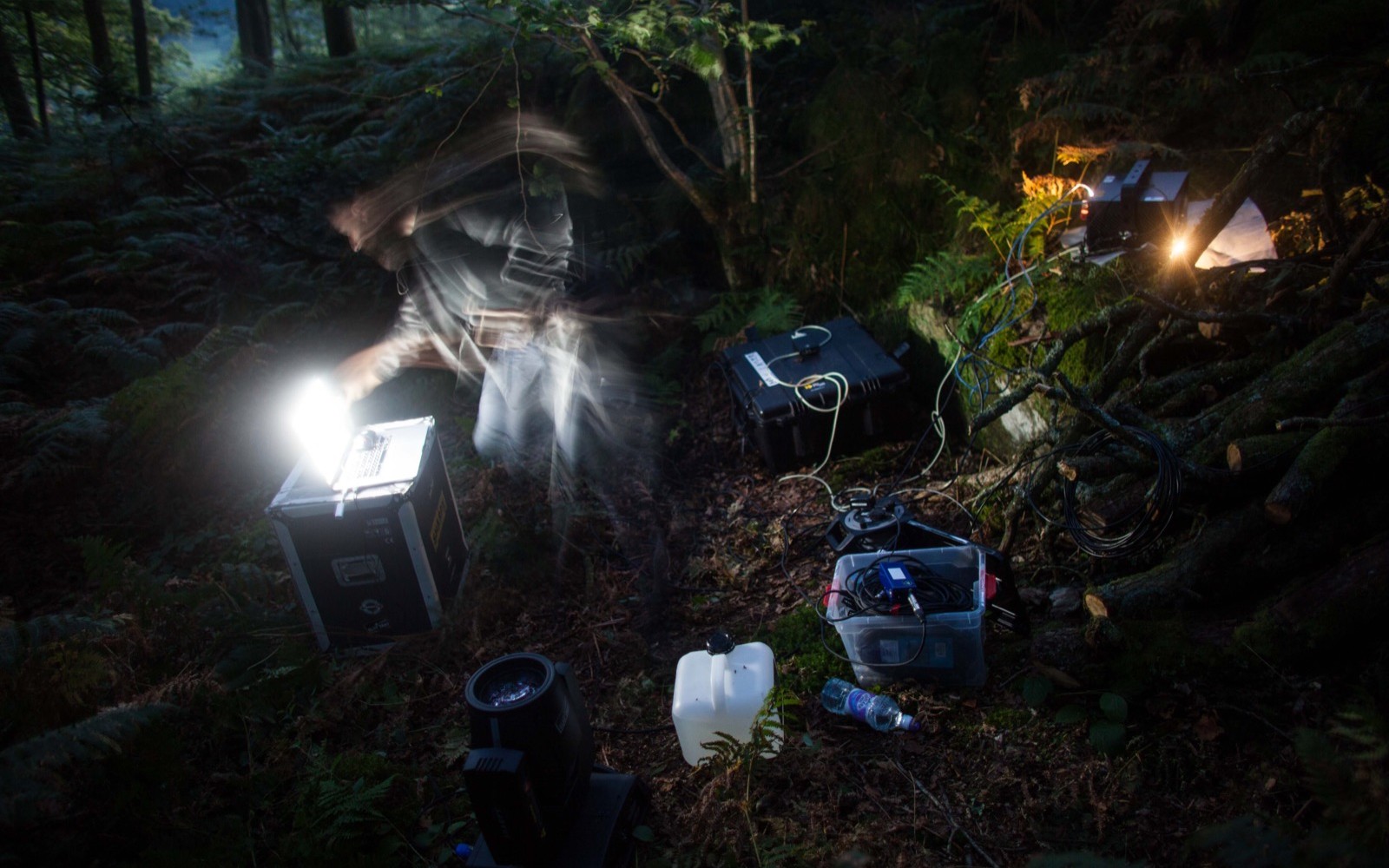 In the Eyes of the Animal – MLF virtualise a forest through the eyes of ...
